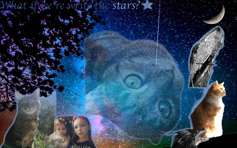 New Student Exhibition Now on View: Your Place, Your Voice - The ...